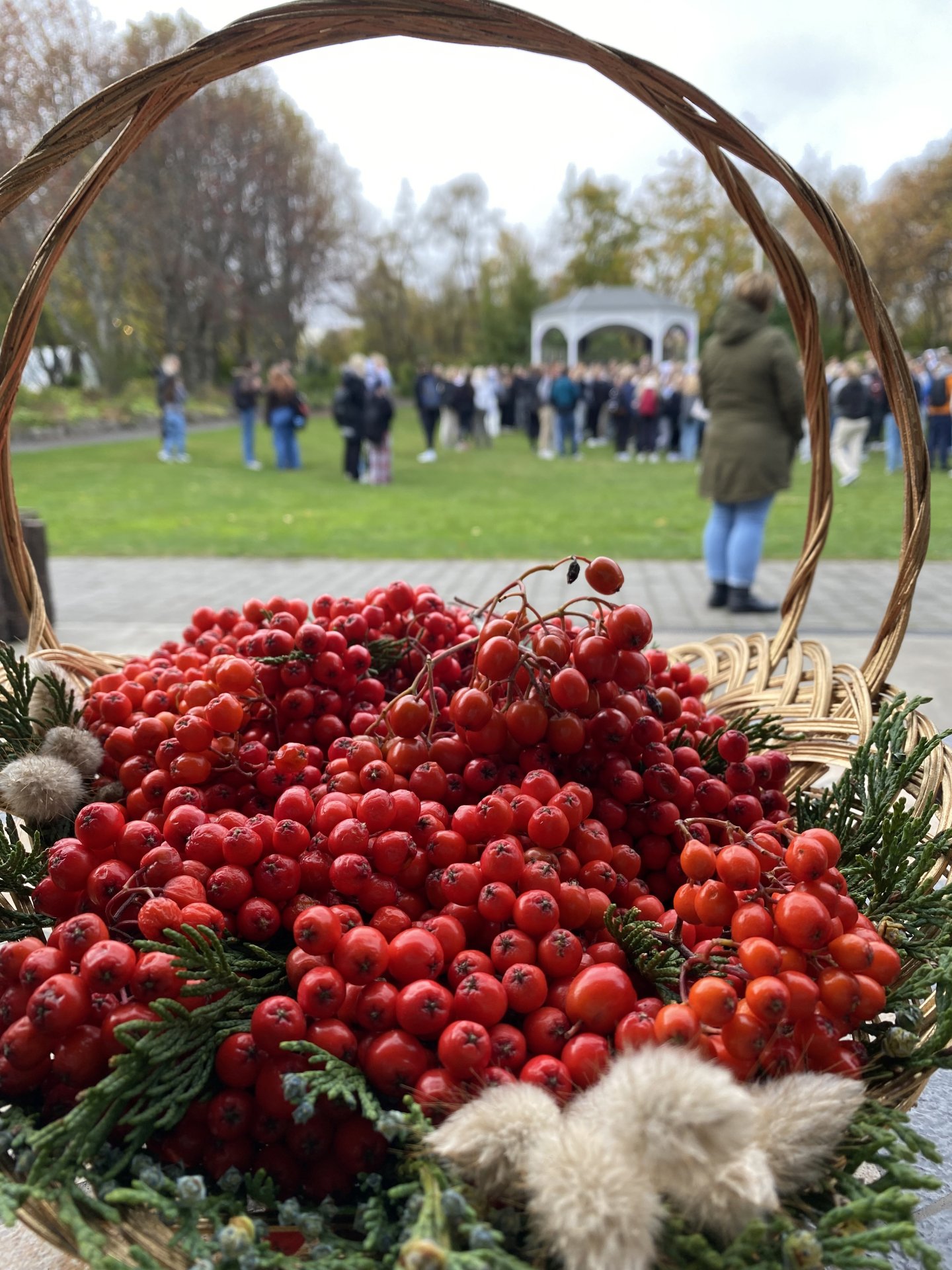 Fréttabréf MA | Menntaskólinn á Akureyri